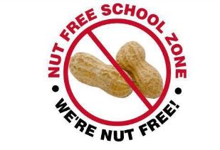 Nut Allergy Letter